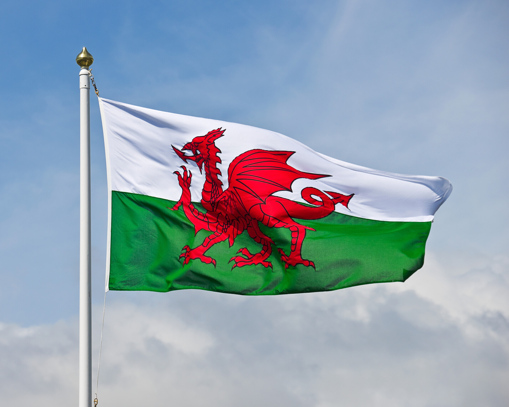 Dydd Gŵyl Dewi | Museum Wales